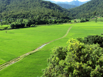 Home Page - Gaindakotonline